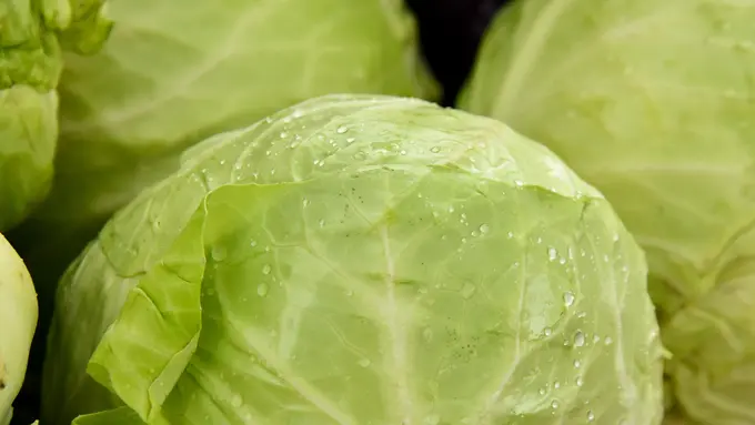Bisa Tahan hingga 2 Bulan, Begini Cara Simpan Kubis agar Tidak Cepat ...