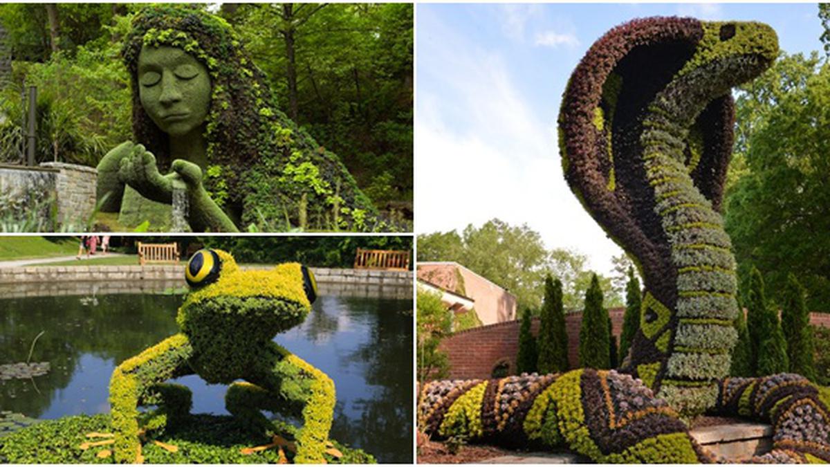 Ada Raksasa-Raksasa Mengagumkan di Taman Ini