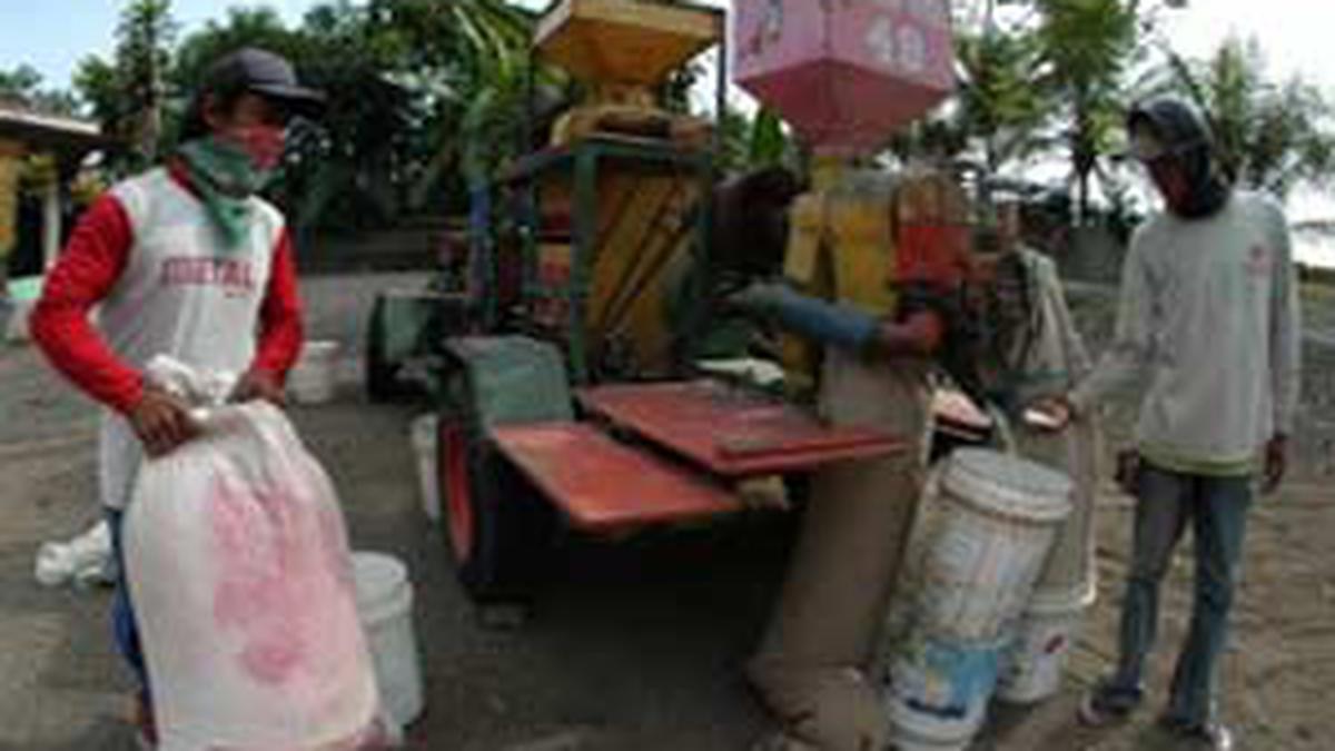 Selep padi keliling dengan biaya selep Rp.2.000 untuk 40 Kg gabah di ...