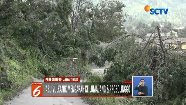 Berita Gunung Bromo Erupsi Hari Ini - Kabar Terbaru Terkini | Liputan6.com