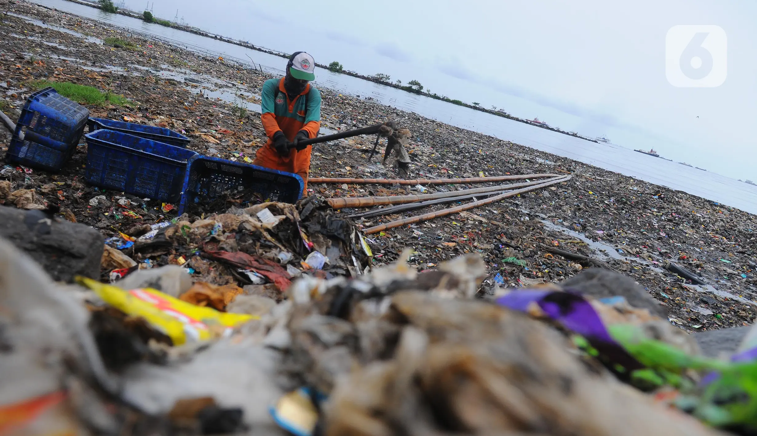 Pembersihan Lautan Sampah di Pesisir Marunda Kepu - Foto Liputan6.com