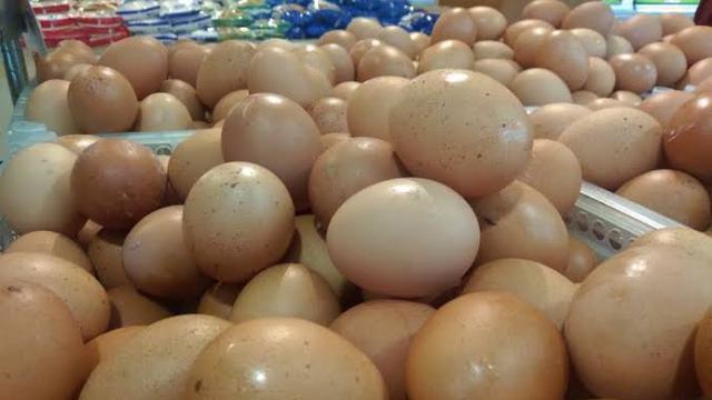 Rincian Harga Telur Ayam di Seluruh Indonesia Hari ini, 9 September ...