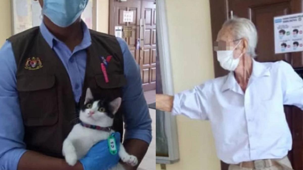 Pukul Kucing Pakai Besi hingga Lumpuh, Kakek 79 Tahun Terancam Bui ...