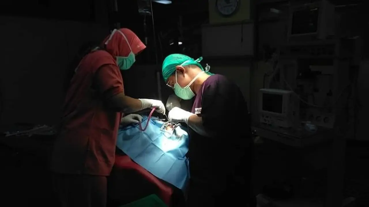 Tren Operasi Plastik di Kalangan Gen Z dan Milenial di Indonesia ...