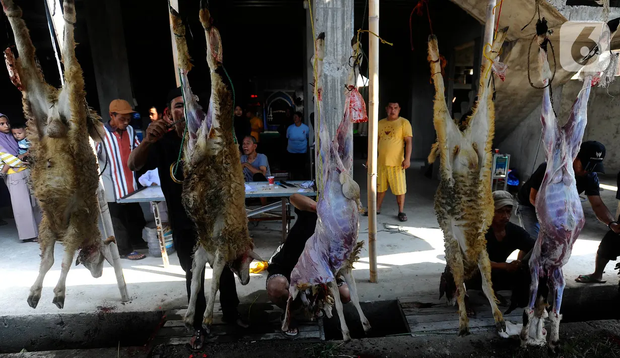 Pemotongan Hewan Kurban Idul Adha 1444 H di Depok - Foto Liputan6.com