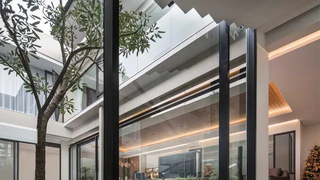 Rekomendasi 8 Jenis Pohon untuk Meneduhkan Taman Rumah - Lifestyle ...
