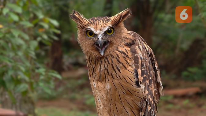 Intip Hasil Jepretan Kamera Vivo X300 Pro dari Makro hingga Zoom ...