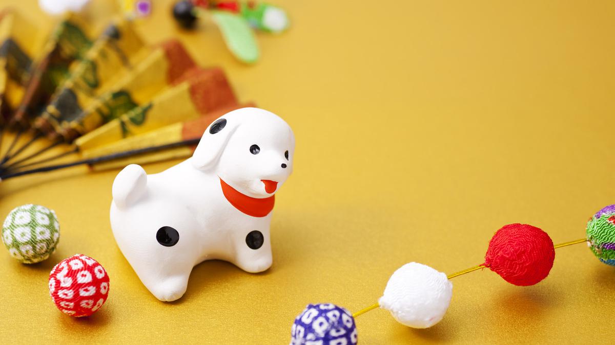 Boo, Anjing Paling Lucu di Dunia Mati Karena Patah Hati - Global ...