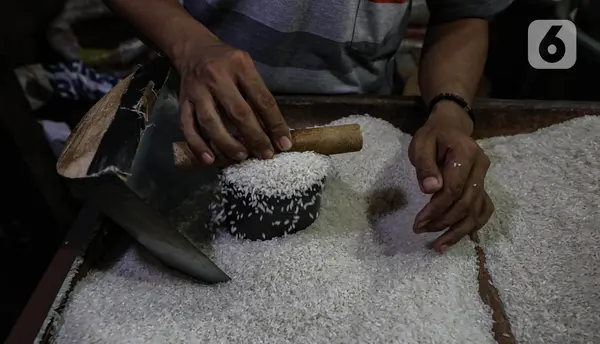 Rumah Flat Menteng, Solusi Hunian Terjangkau di Pusat Kota Jakarta ...