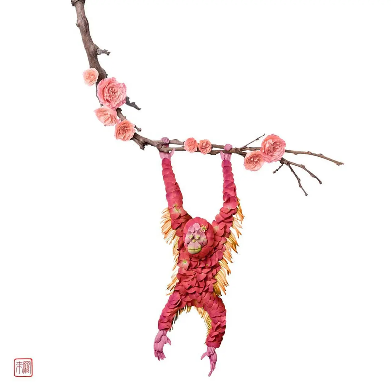 Seniman Ini Rangkai Bunga dan Daun Jadi Bentuk Binatang, 7 Potretnya ...