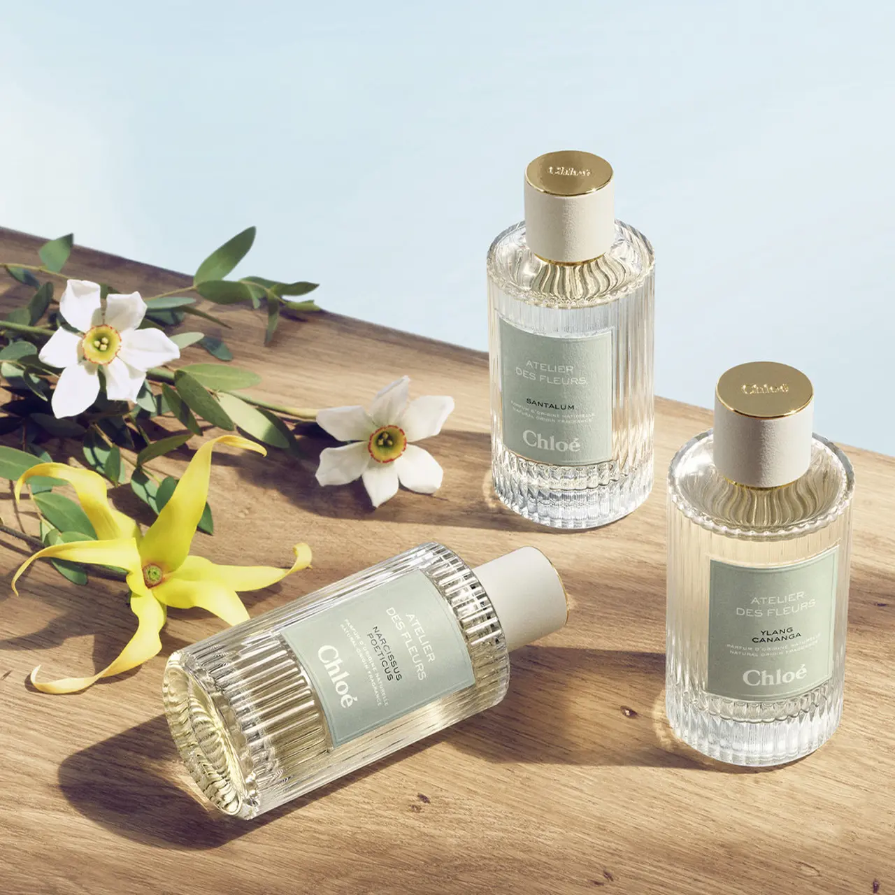 Bunga Segar Jadi Parfum, Chloe Hadirkan Keunikan Aroma 15 Bunga dalam ...