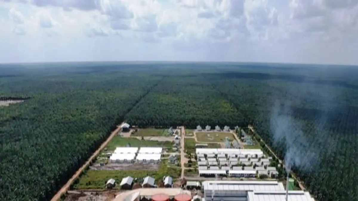 Berita Triputra Agro Persada Hari Ini - Kabar Terbaru Terkini ...