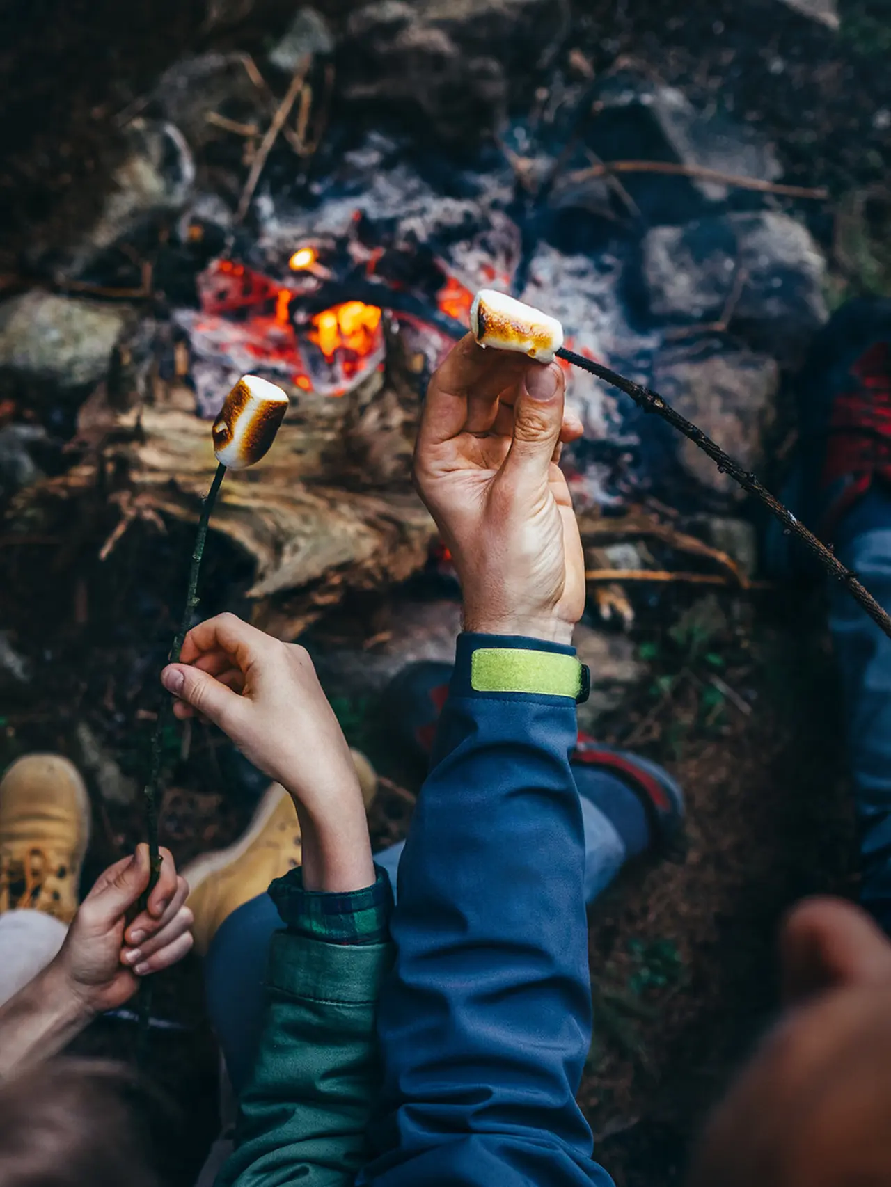 15 Makanan Lezat dan Mewah yang Dimasak di Api Unggun Saat Kemping ...