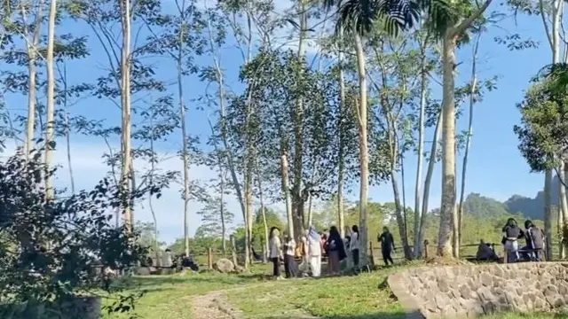 Piknik di Nawang Jagad, Wisata Alam Sejuk di Yogyakarta - Regional ...