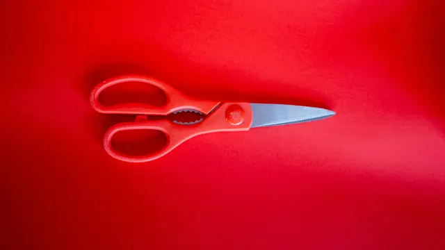 5 Cara Mempertajam Gunting yang Tumpul, Efektif dan Mudah Dilakukan ...