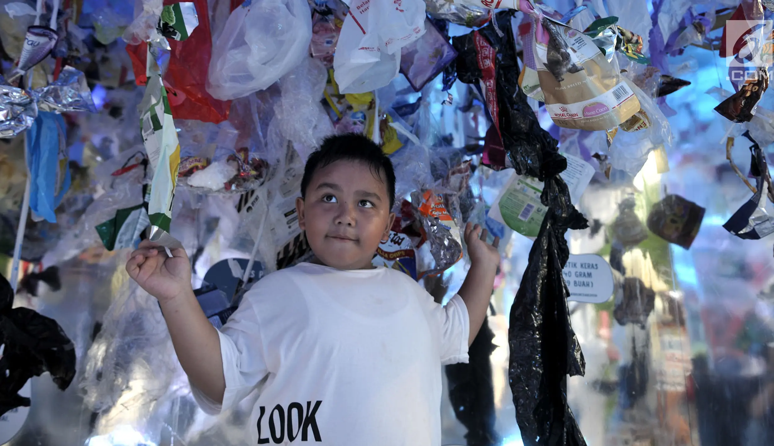FOTO: Begini Isi Perut Paus Sperma yang Mati Akibat Telan Sampah ...