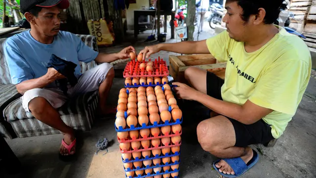 Harga Telur Melambung Imbas Biaya Pakan, Kemendag Pikir-Pikir Beri Subsidi - Bisnis Liputan6.com