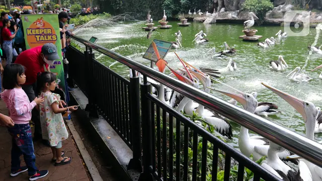 Taman Margasatwa Ragunan Targetkan 140 Ribu Pengunjung di Libur Natal ...