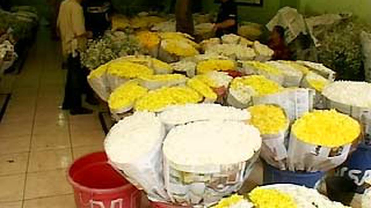 Rawa Belong, Pusat Bunga dan Tanaman Hias - News Liputan6.com