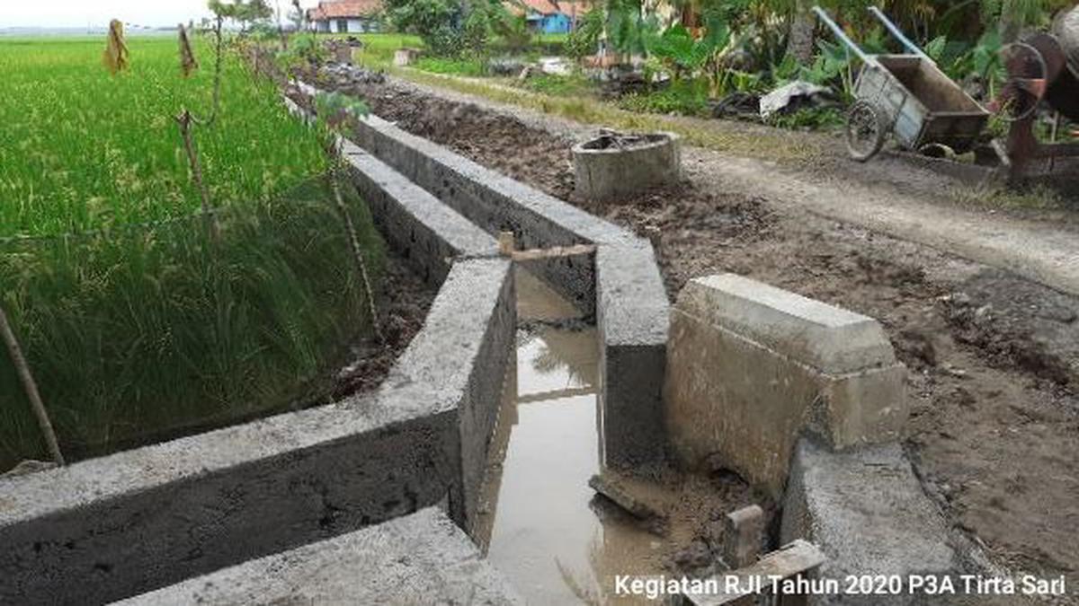 Dukungan RJIT Kementan Tingkatkan Produksi Pertanian Karawang 8,5 Ton ...