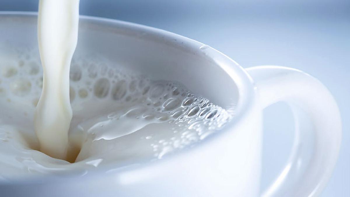 Ahli Kesehatan Amerika Sibuk Debatkan Manfaat Susu