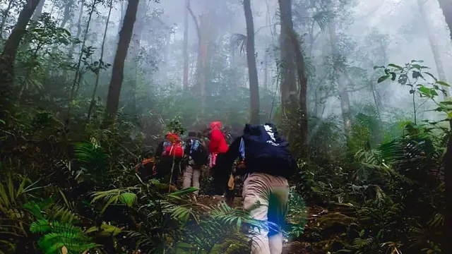 6 Fakta Menarik Gunung Tanggamus di Lampung yang Memiliki Panorama ...