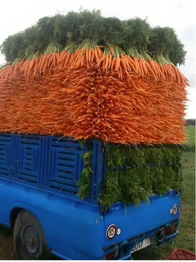 6 Potret Makanan Tersusun Rapi Sesuai Warna Ini Bikin Enak Dipandang ...