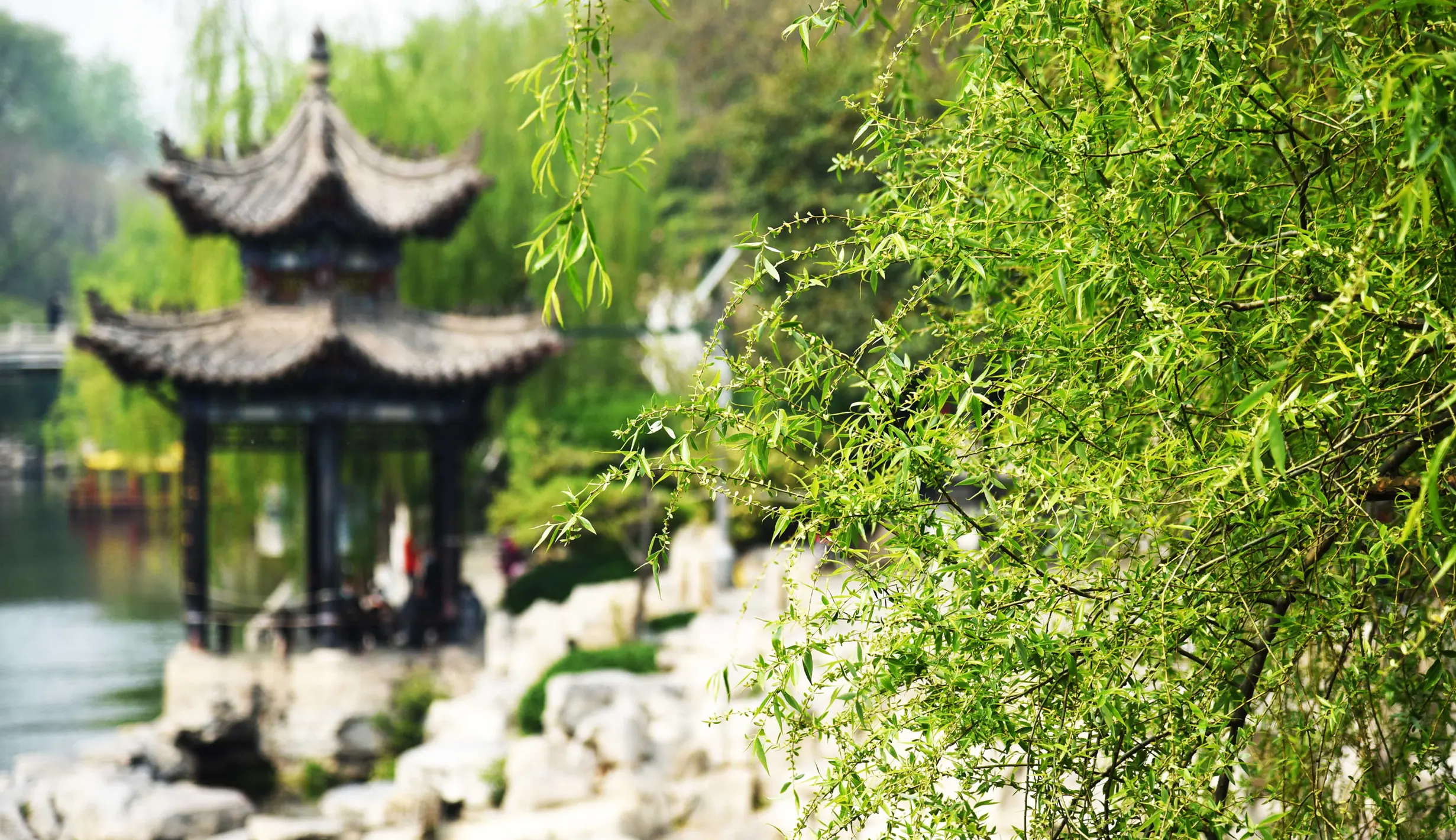 FOTO: Menikmati Pemandangan Musim Semi di China Timur - Foto Liputan6.com