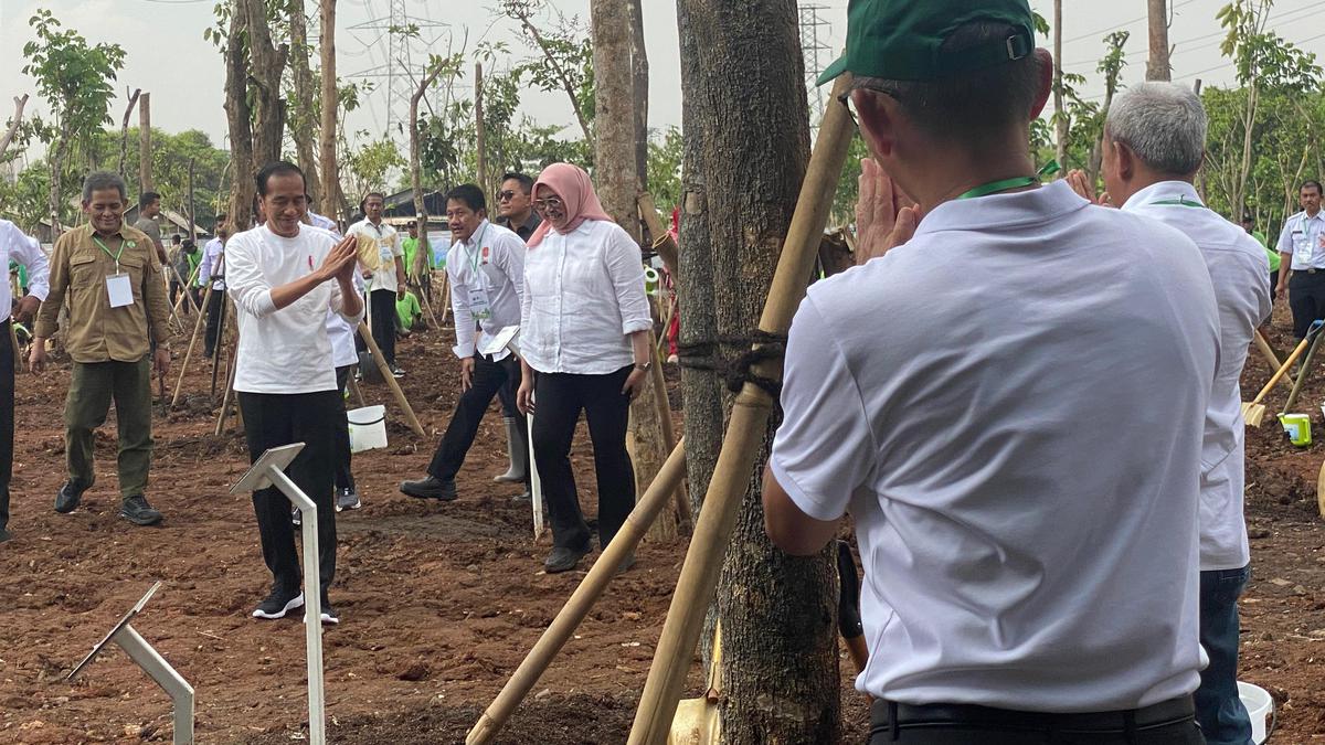 Wujud Lestarikan Alam, ANTAM Dampingi Presiden Jokowi Tanam Pohon di Jakarta Timur - News ...