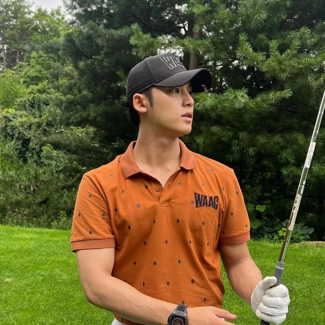 Sering Dijuluki Gapura Kabupaten, Intip Pesona Mingyu Seventeen yang ...