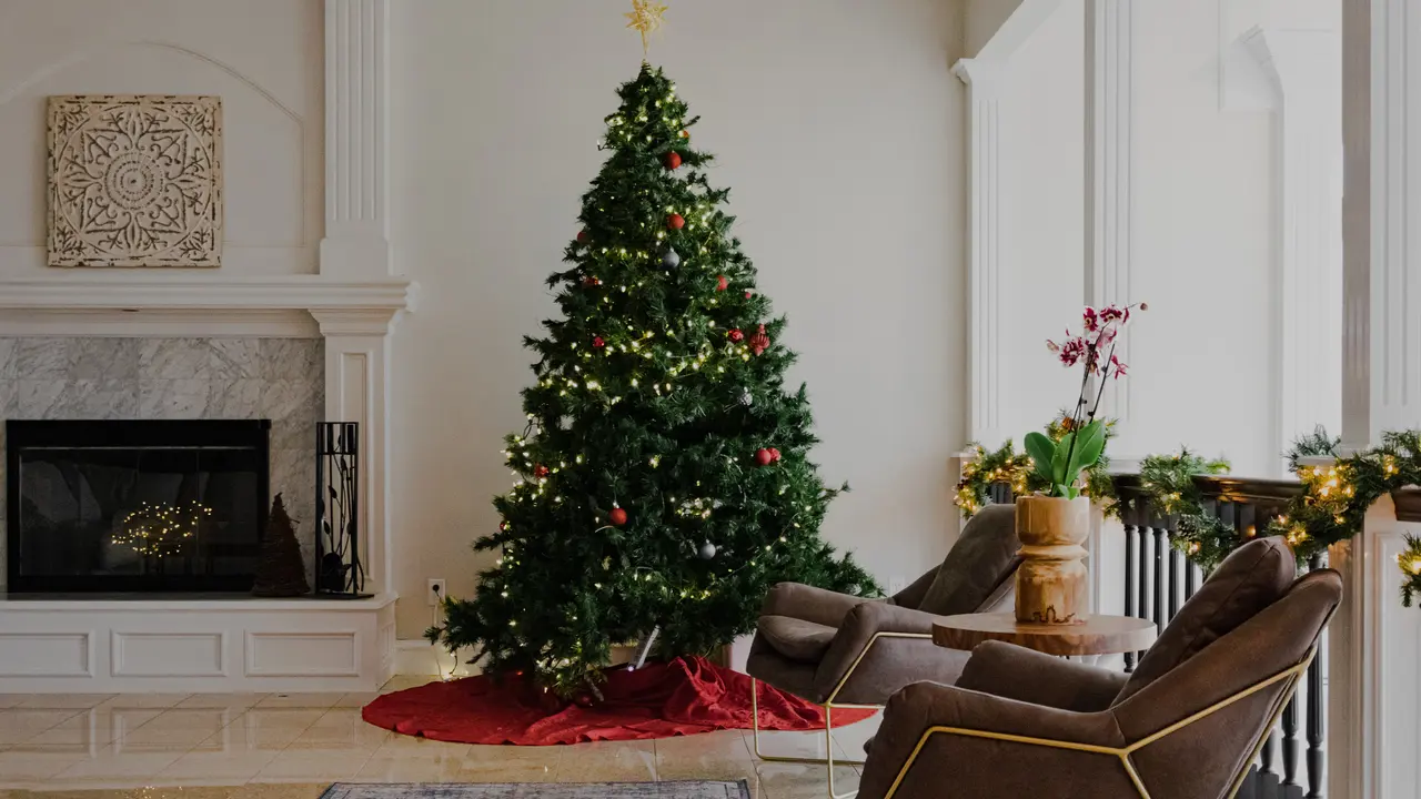 Makna Pohon Natal, Ketahui Asal Usul dan Makna Pohon dari Berbagai ...