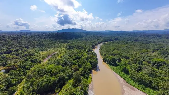 6 Fakta Menarik Gunung Bukit Pagon, Titik Tertinggi di Brunei ...