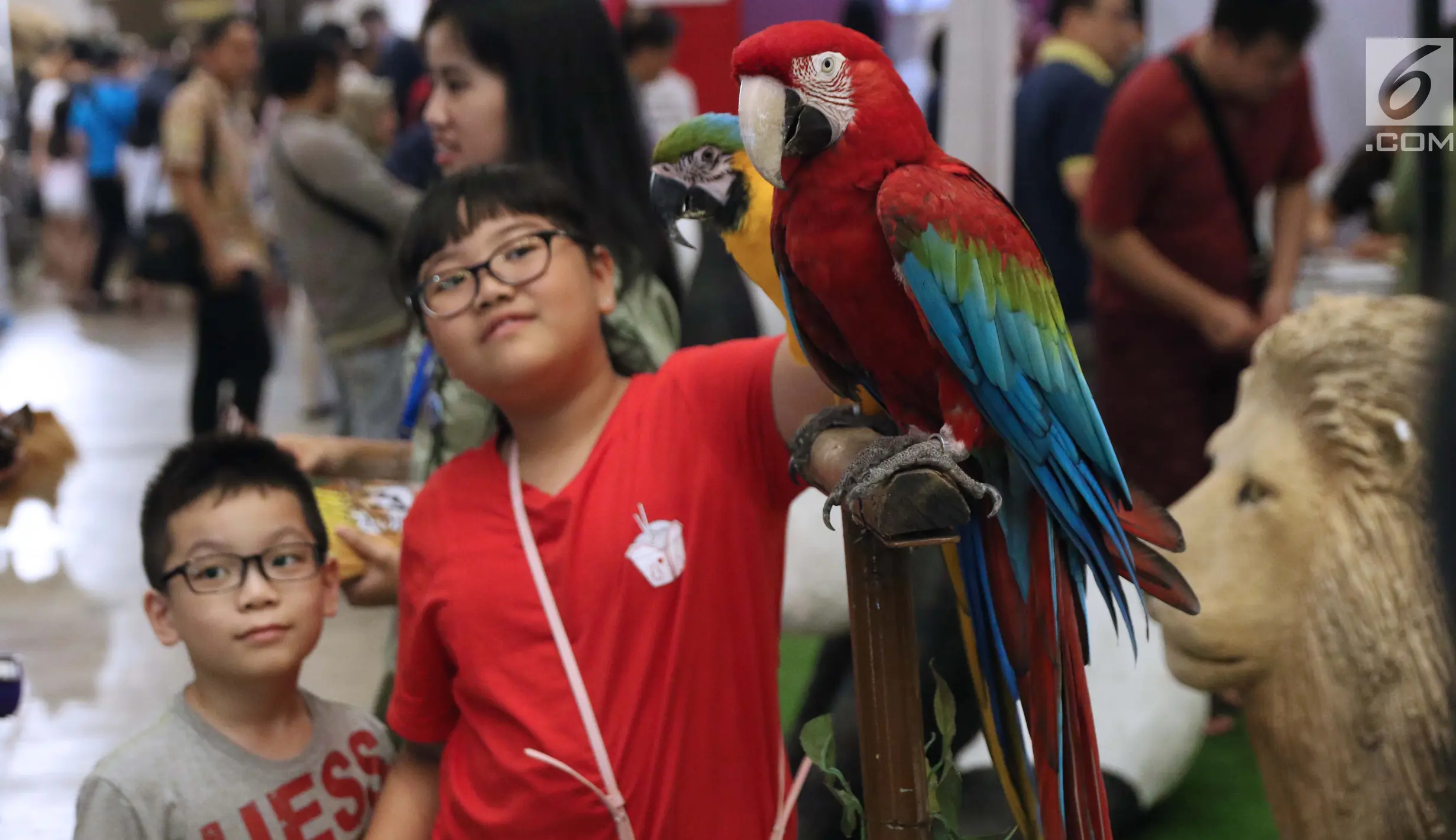 FOTO: Jakarta Indonesia Pet Show 2019 Surga Pecinta Hewan Kesayangan ...