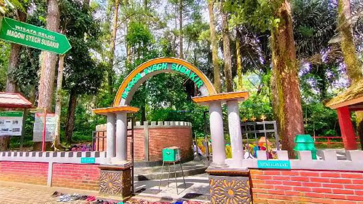 Berita kebun raya gunung tidar Hari Ini - Kabar Terbaru Terkini | Liputan6.com