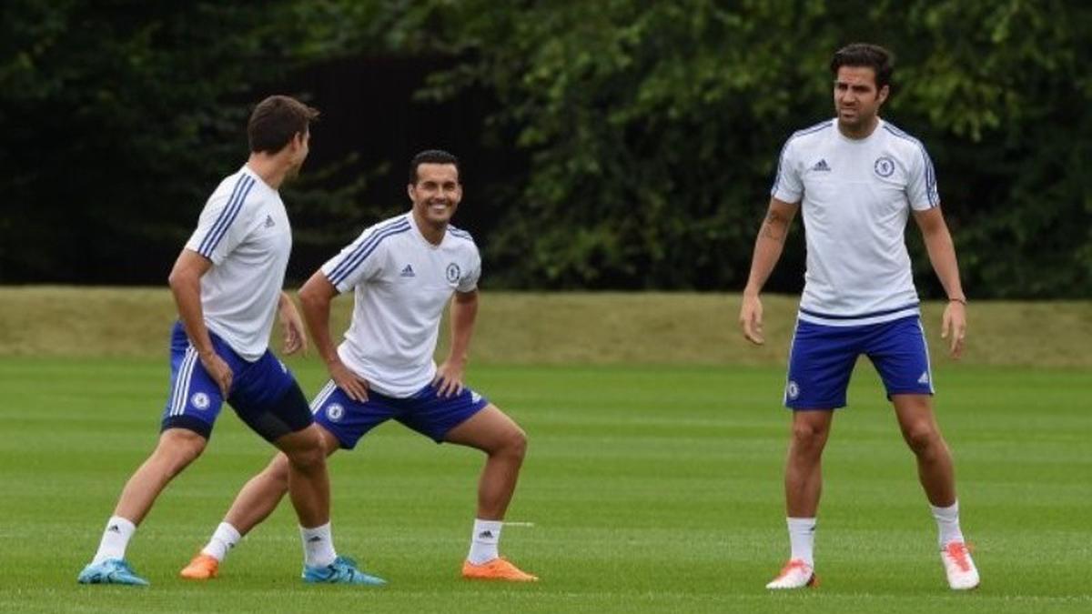Pedro Rodriguez Latihan Perdana di Chelsea Bersama Cesc Fabregas - Foto ...