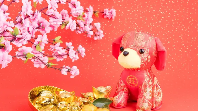 1994 Shio Apa? Begini Karakter dan Peruntungannya di Tahun 2024 - Hot ...