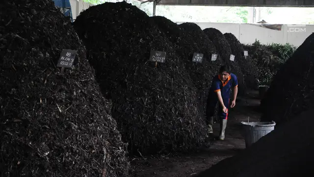 12 Manfaat Pupuk Organik, Jaga Keseimbangan Ekosistem dan Kurangi ...