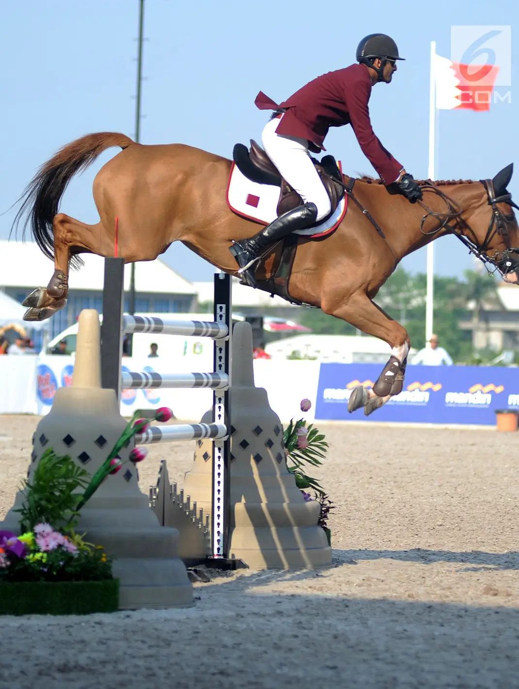 FOTO: Berharga Rp 345 Miliar, Ini Kuda Termahal yang Tampil di Asian ...