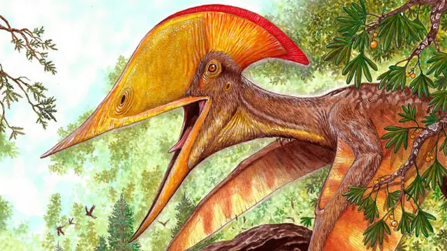 Penemuan Pterosaurus Baru dengan Rentang Sayap 1,5 Meter, Benarkah ...