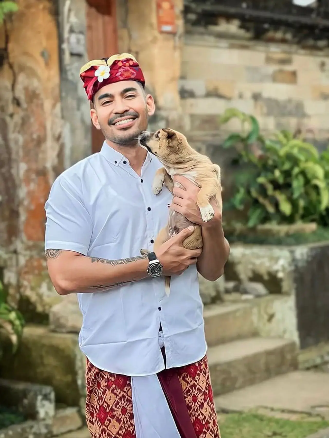 Momen Robby Purba Pasrah, Julian Kucing Kesayangannya Pecahkan Televisi ...