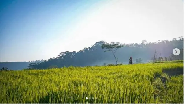 6 Fakta Menarik Sragen, Punya Situs Purbakala yang Diakui UNESCO ...