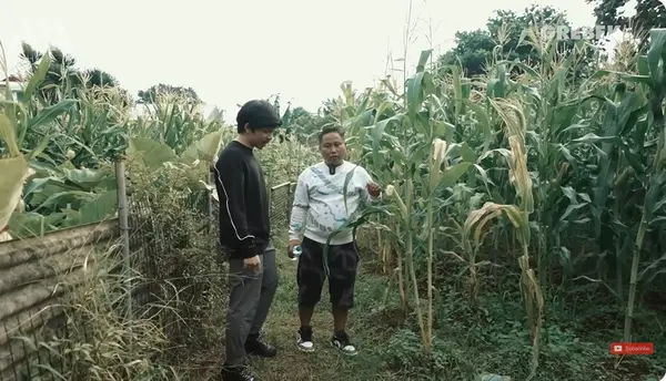 Sinopsis dan Fakta Film Agape: The Unconditional Love yang Tayang di ...