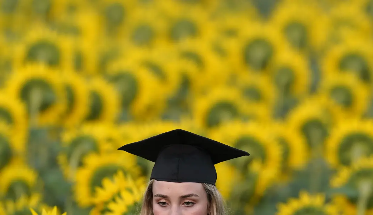 FOTO: Mengunjungi Ladang Bunga Matahari di Kansas - Foto Liputan6.com