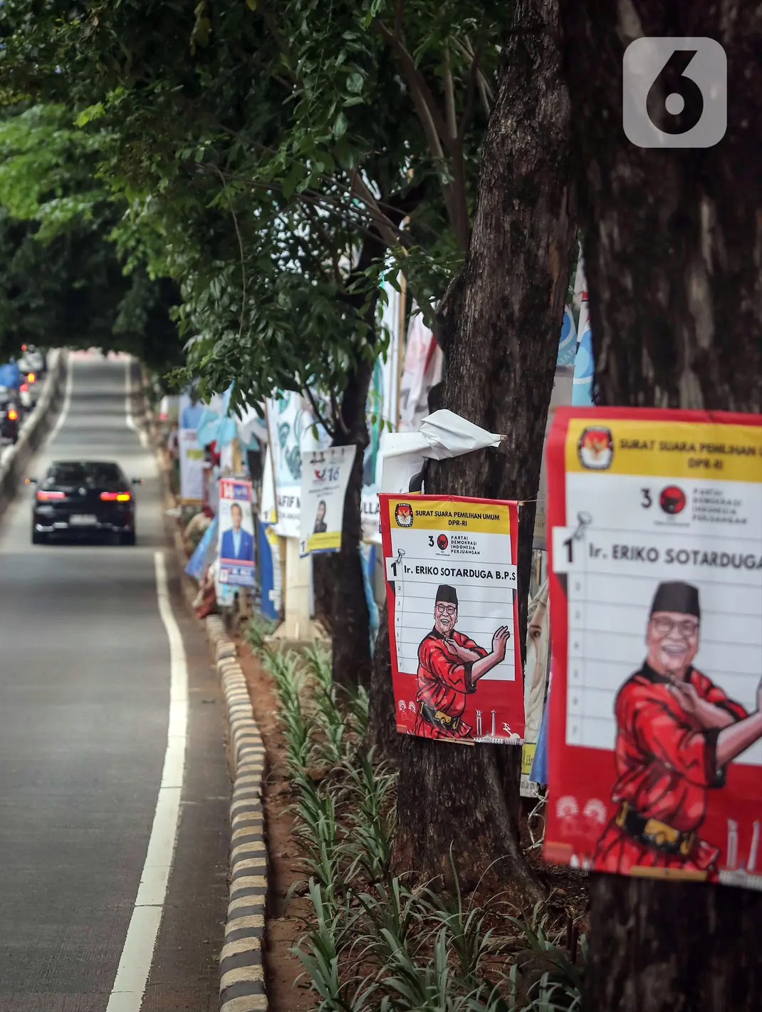 Pemasangan APK di Pohon Berpotensi Merusak Lingkungan - Foto Liputan6.com