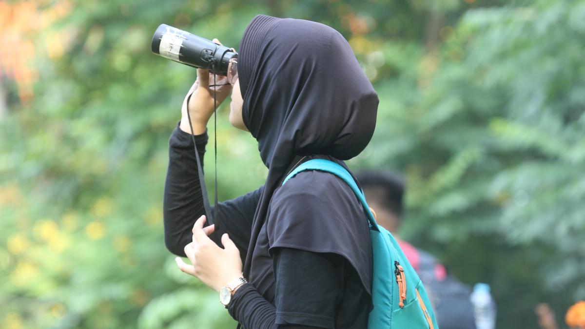 Mengamati Flora dan Fauna di Tebet Sampai Pontianak - Regional Liputan6.com