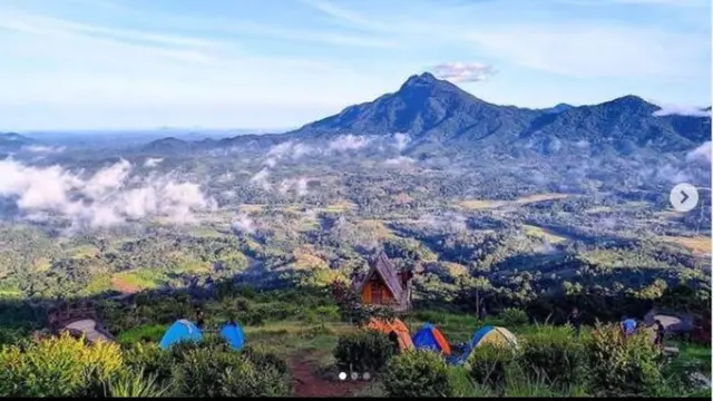 6 Fakta Menarik Tentang Bengkayang, dari Etnik Dayak sampai Kampung ...