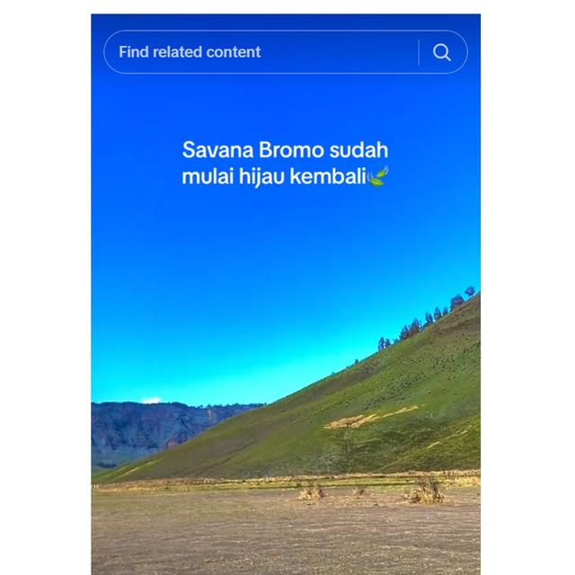 6 Potret Savana Bromo Menghijau Usai Terbakar, Pemandangan yang Dirindukan