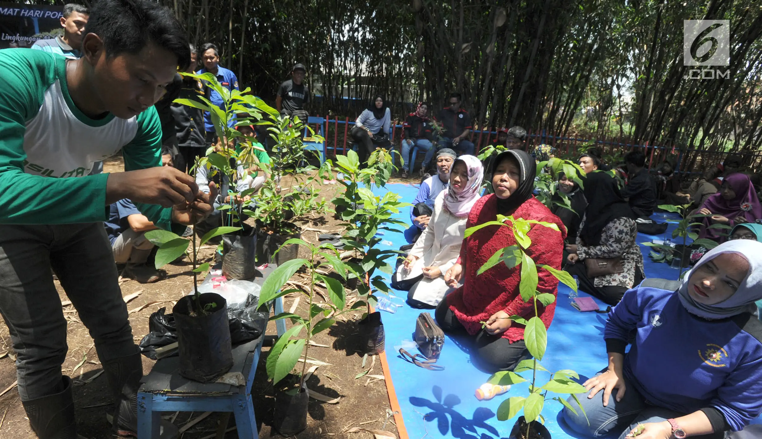 FOTO: Hari Pohon Sedunia, Karang Taruna Tani Ajarkan Teknik Merawat Tanaman - Foto Liputan6.com
