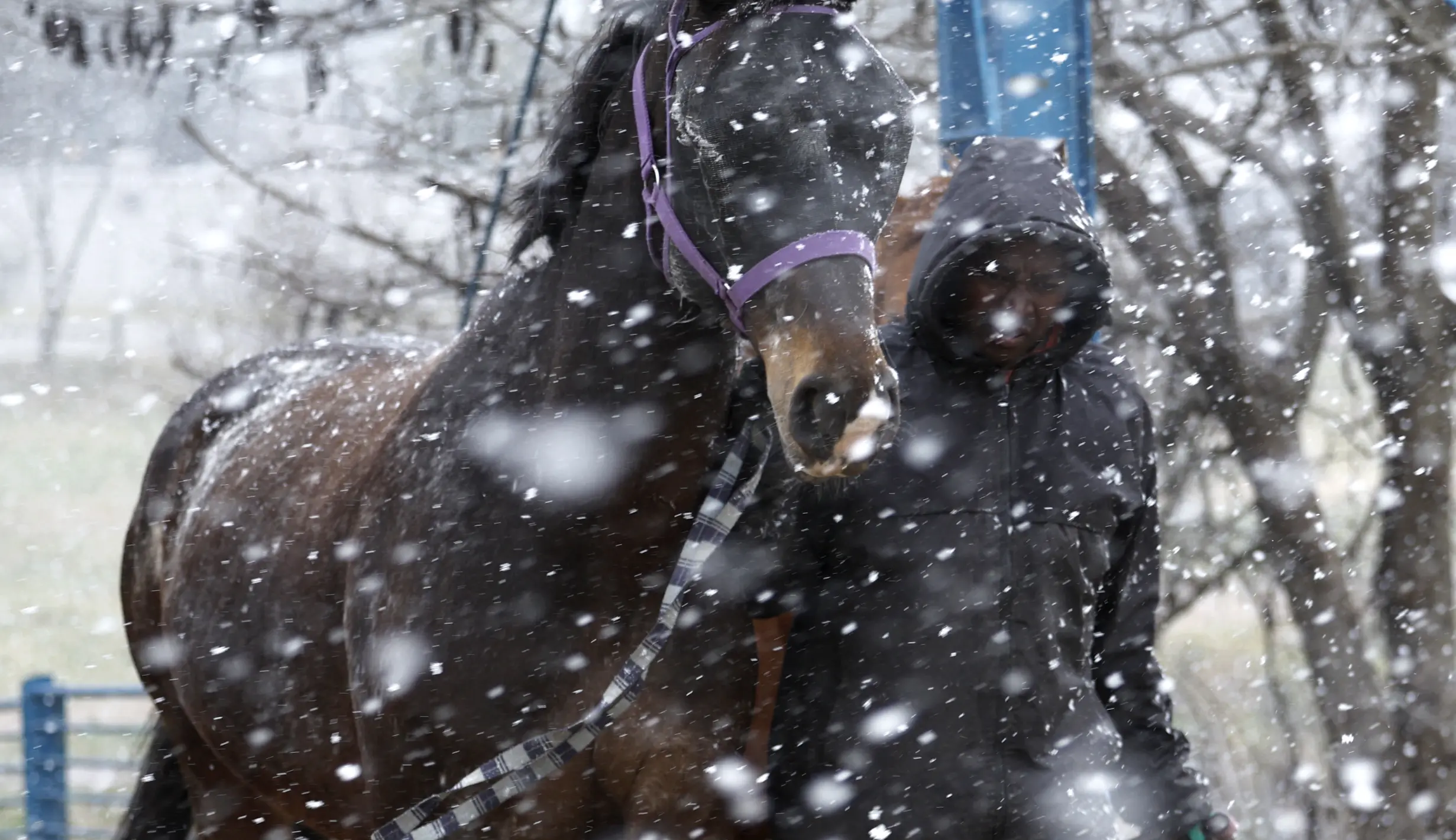 Hujan Salju yang Jarang Terjadi Menyelimuti Johannesburg - Foto ...