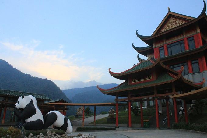 Sediakan Lahan 190 Hektare, Taman Safari Ingin Panda Bahagia - Global ...